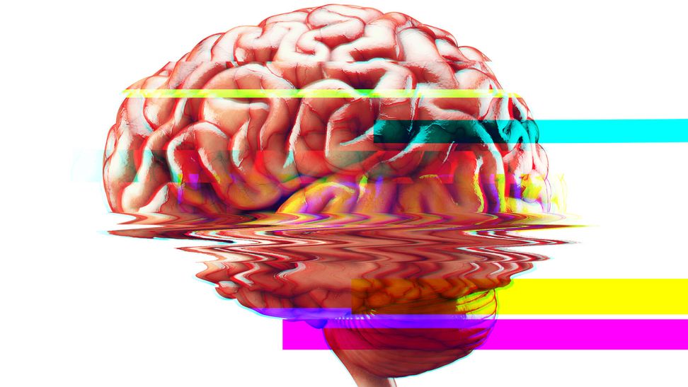Así construye el cerebro nuestra percepción del mundo exterior, según ...