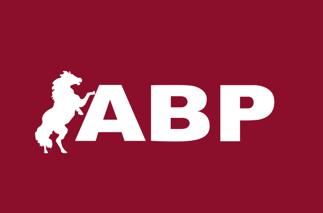 ABP: Hay que cumplir mandato de las primarias, no hacerlo sería una ...